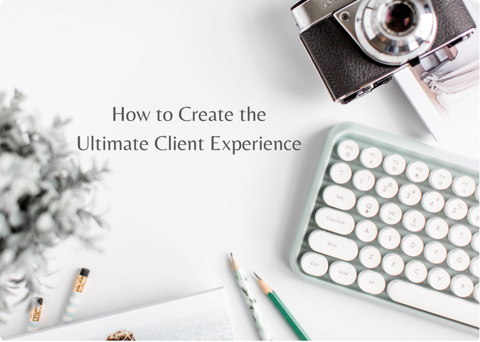 How to Create the Ultimate Client Experience - Lydia Gillis Photography